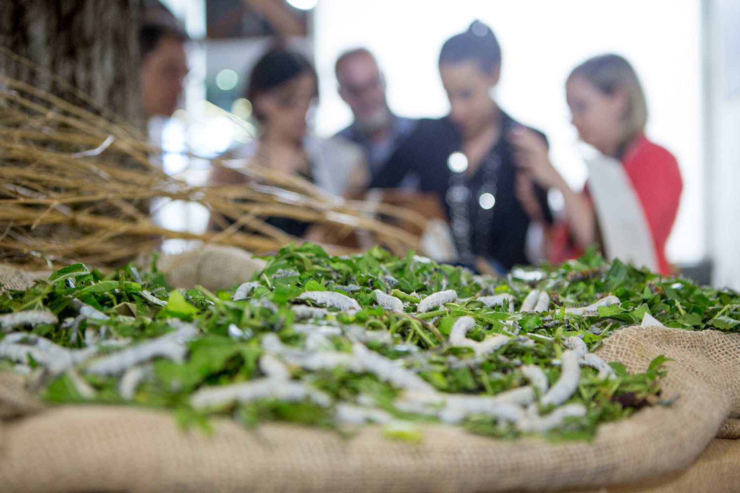 La seta italiana ad "Origin Passion&Beliefs 2015" | | La Via Etica ...