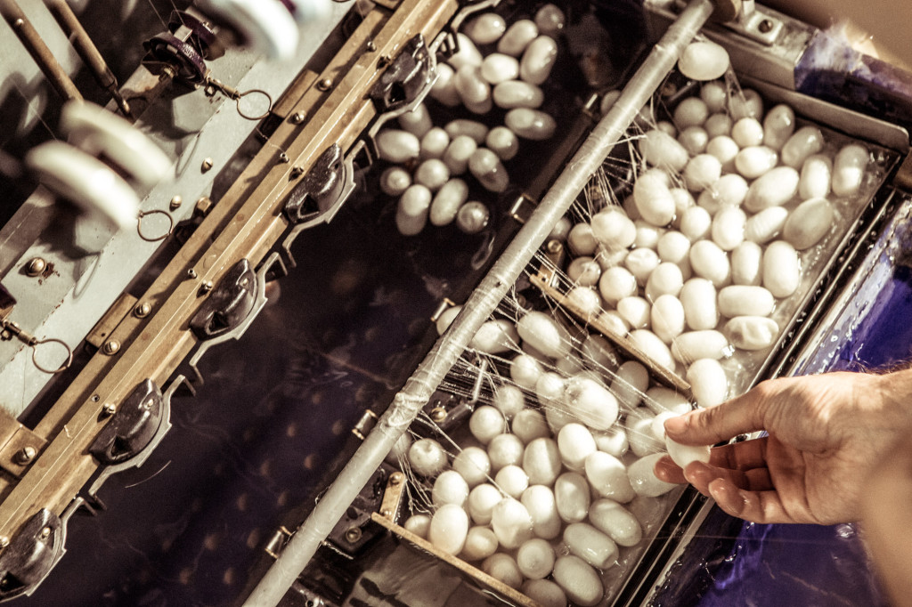 La Via Etica della Seta… step by step | | La Via Etica della Seta