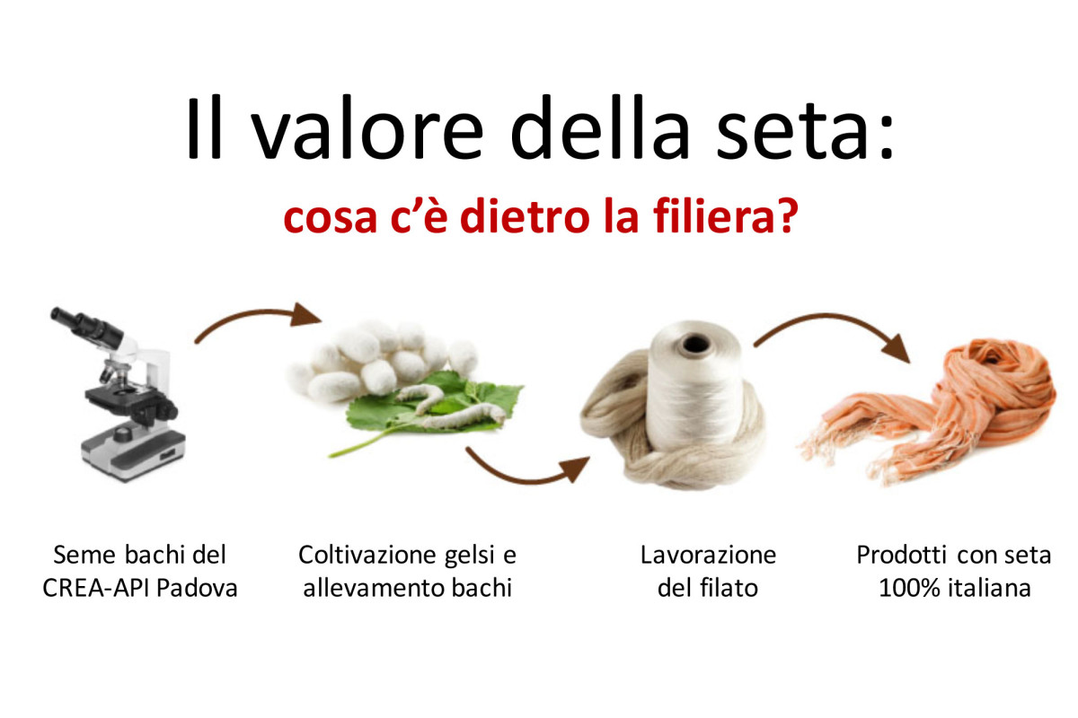schema_filiera – La Via Etica della Seta